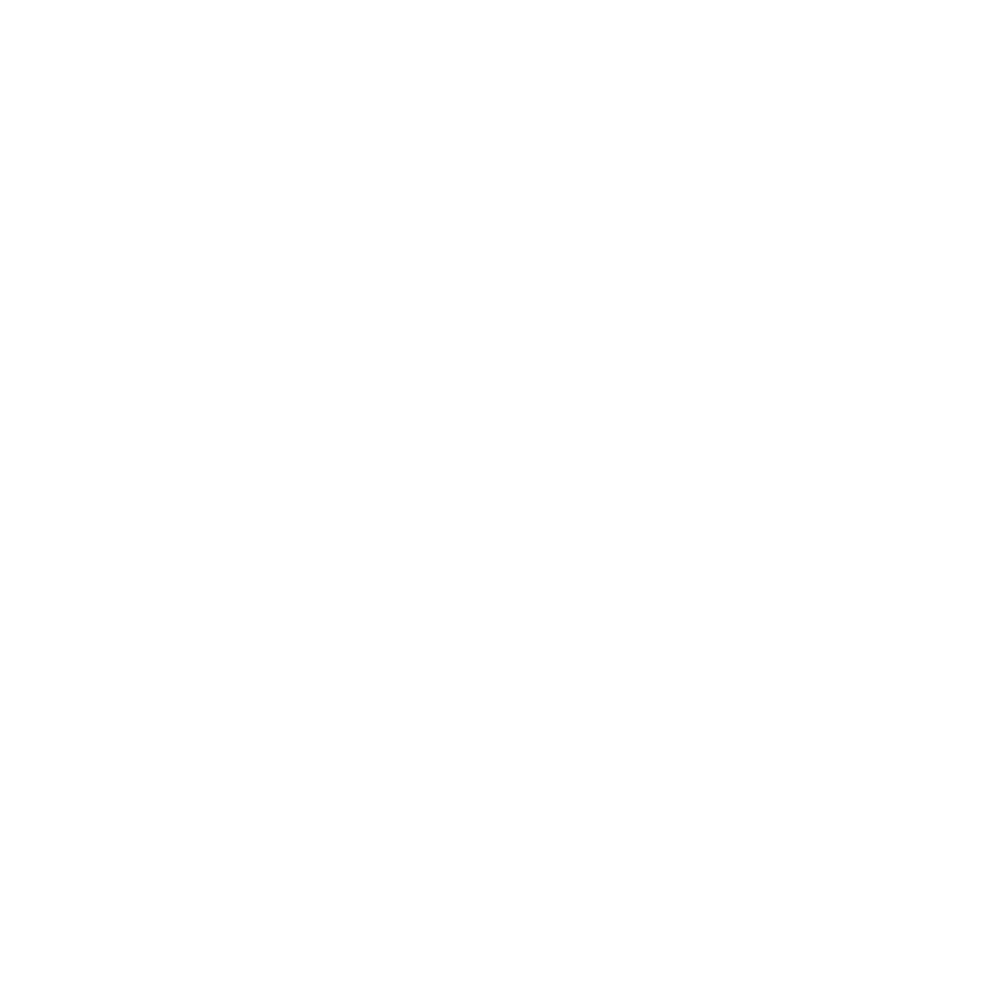 Curriculum curriculum